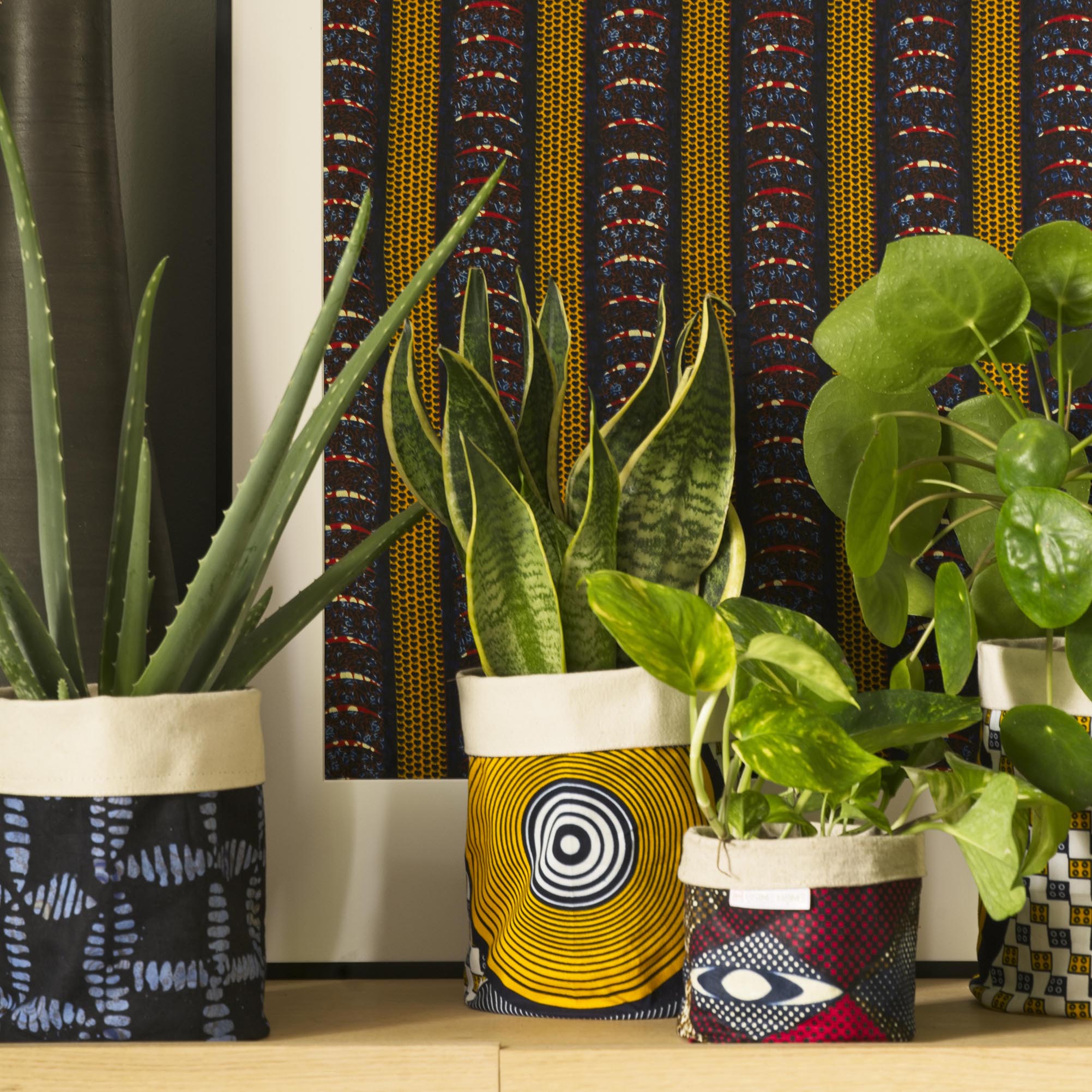 Plant & Storage Pots – Osime Home